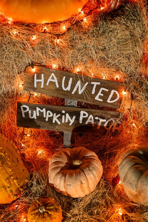 How To Make A Spooky Diy Haunted Pumpkin Patch Honestly Modern