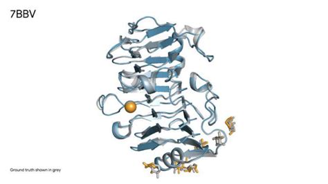 2024年诺奖技术再升级,alphafold3来了!超越蛋白质结构,全面预测蛋白质与所有生命分子相互作用腾讯新闻 2024年诺奖技术再升级,alphafold3来了!超越蛋白质结构,全面预测蛋白质与所有生命分子相互作用腾讯新闻