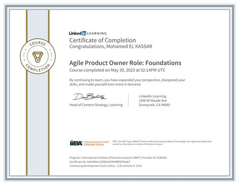 Certificate Of Completion Mohamed El Kassar