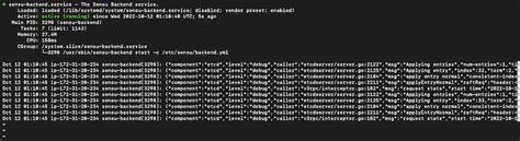 get started with sensu beginner s 2024 guide to observability
