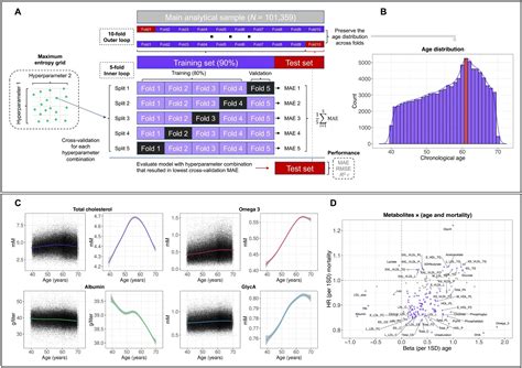 machine learning reveals how metabolite profiles predict aging and