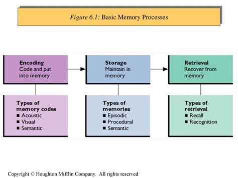 Process Of Memory