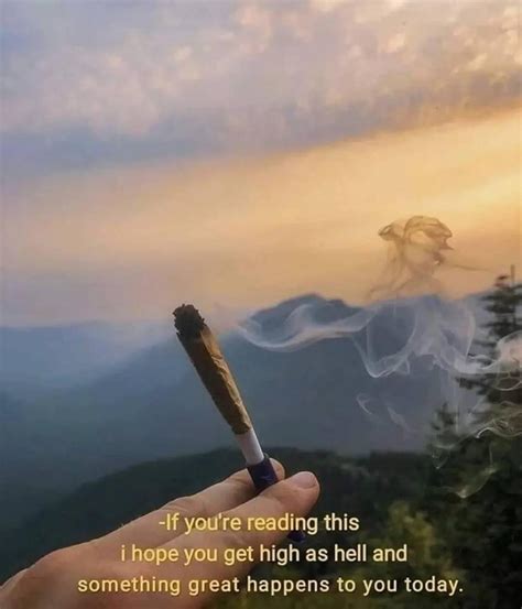 𝖈𝖆𝖎𝖙 On Tumblr