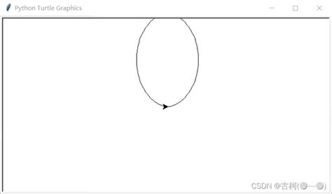 Python海龟制图的简单使用python海龟画图简单 Csdn博客 Python海龟制图的简单使用python海龟画图简单 Csdn博客
