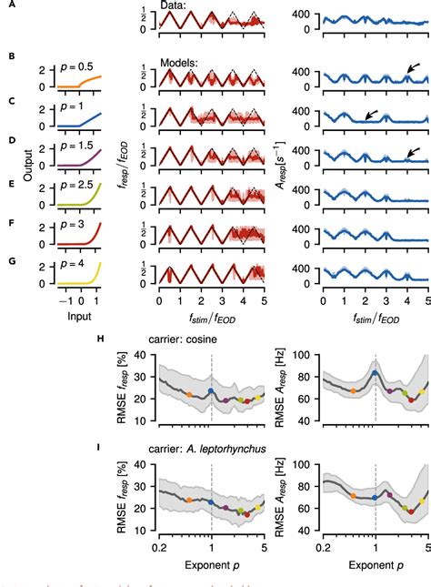 Figure 1 From Beat Encoding At Mistuned Octaves Within Single Electrosensory Neurons Semantic