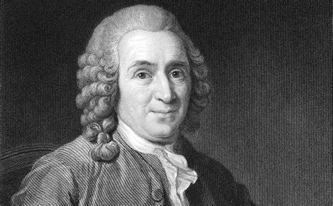 Carl Linnaeus Classification System Explained Design Talk