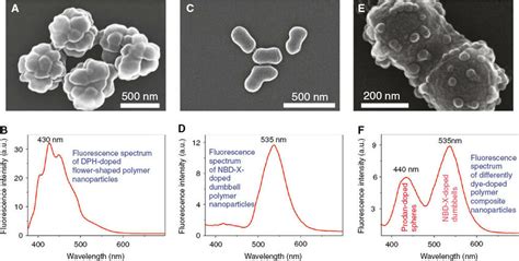 A And B Are The Sem Image Of Dph Dye Doped Flower Shaped Polymer Download Scientific
