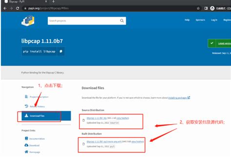 python 怎么使用libpcap库抓包及处理数据 开发技术 亿速云
