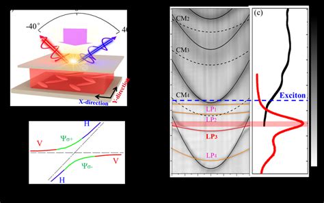 Schematics Of Organic Microcavity Setup And Angle Resolved
