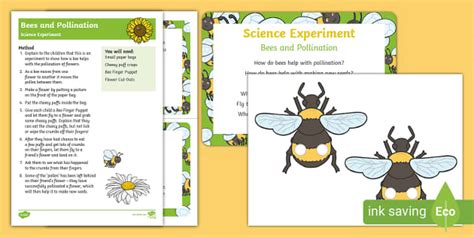 Bee And Pollination Science Experiment Activity Early Years