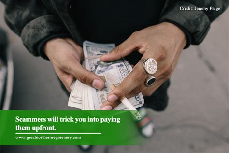 How Not To Be A Victim Of A Tree Service Scam