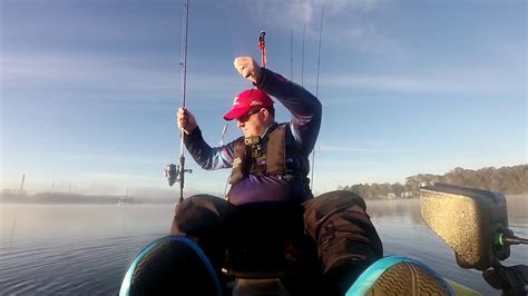Lake Macquarie Fishing - Bream on Vibes, Tailor on Surface - 28/07/2019 ...