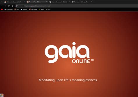 Gaia Online Gamesworlds Hung Loading Flash · Issue 13758 · Ruffle