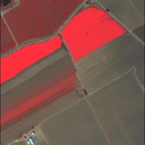 Pdf Multiscale Superpixel Based Sparse Representation For Hyperspectral Image Classification