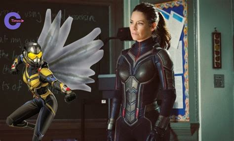 The Mcu Loses A Hero Evangeline Lillys Exit As The Wasp Captivating Times Medium