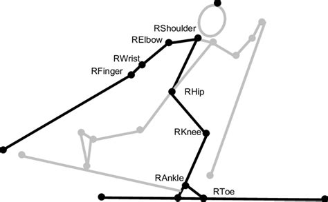 Digitised Points For The Right And The Left Sides Download Scientific Diagram