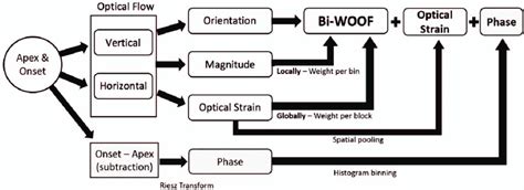 Flow Diagram Of Micro Expression Recognition System Download