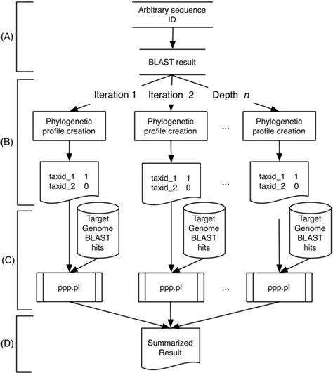 Flowchart Of Profile Search Using Prophylo With Double Partial