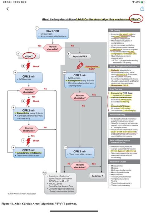 [acls] 알고리즘 Adult Cardiac Arrest Emphasis On Vt Pvt 네이버 블로그