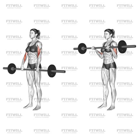 Barbell Reverse Curl Exercise Guide Video Techniques Benefits How To Muscles Worked Tips