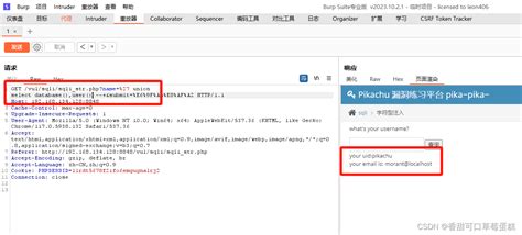 Pikachu 靶场 Sql 注入通关解析pikachusql注入闯关 Csdn博客