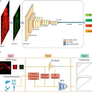 A VGG16 Network Structure B Deep Learning DL Model And Joint Download Scientific Diagram