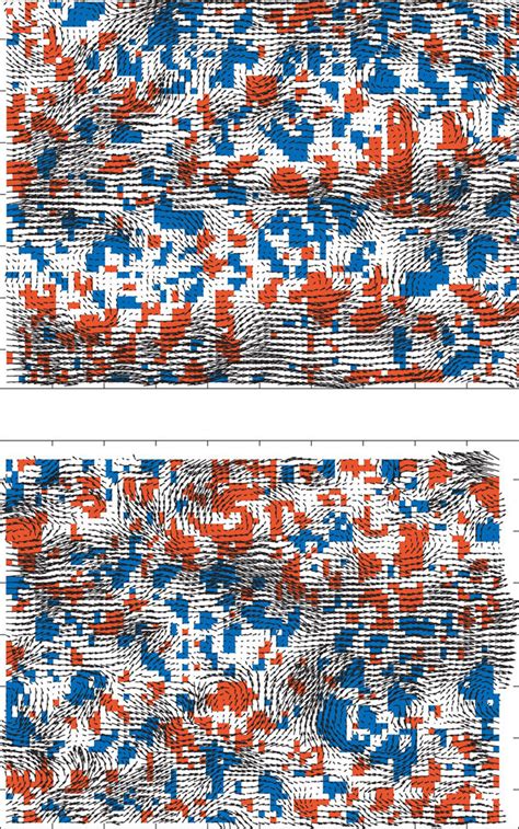 Typical Instantaneous Velocity Field In The X Z Plane With Positive