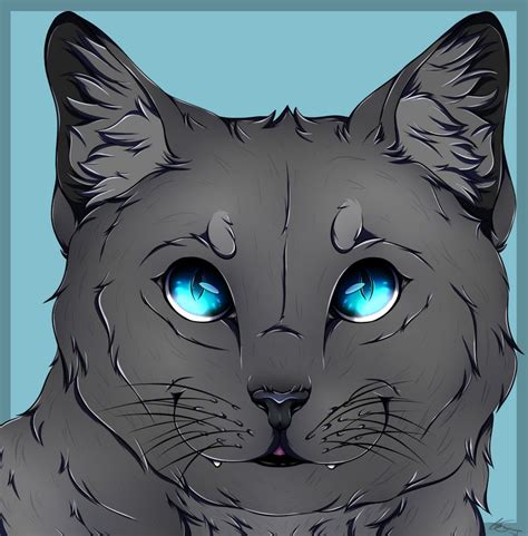 coder the cat by tirachu on deviantart