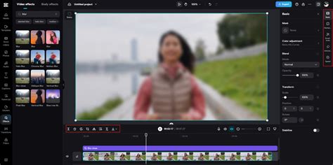 How To Add Video Blur Effects Effortlessly With 3 Trendy Ways