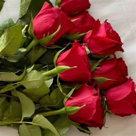 𝒯𝒶𝓁𝒶 𝒶𝓁𝒿𝒶𝓁𝒶𝓁 ♛ Alrashdantala • Threads Say More