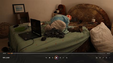 What Is Wrong With This Image I Can Tell Something Is Off With The Quality But I Cant Put Into