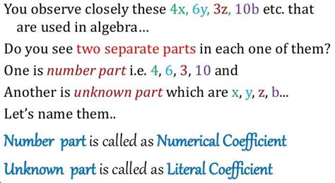 Factors And Coefficients Of A Polynomial A Plus Topper