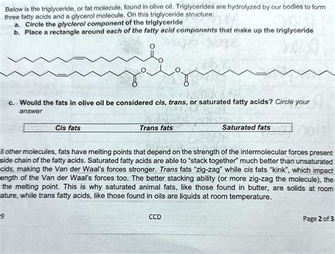Below Is The Triglyceride Or Fat Molecule Found In Olive Oil Triglycerides Are Hydrolyzed By Our