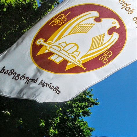 ჩოხოსნები მარტვილის სადროშო