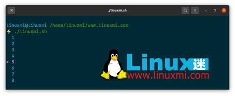 Gum Linux 中迷人的 Shell 脚本工具 Linux迷