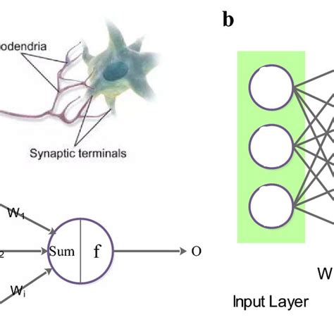 Effect Of Embedding Vector Dimension On Prediction Download Scientific Diagram