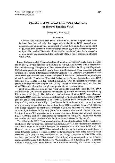 Pdf Circular And Circular Linear Dna Molecules Of Herpes Simplex Virus