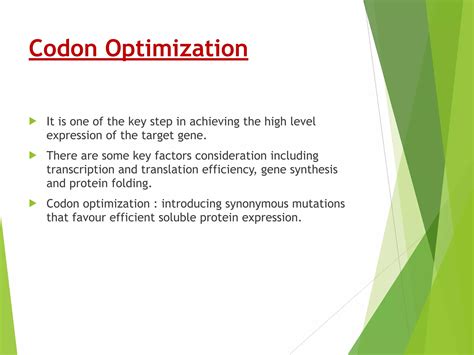 Vector Engineering And Codon Optimization Pdf Programming Languages