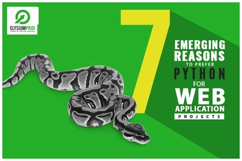Python For Web Application 7 Emerging Reasons To Prefer Python
