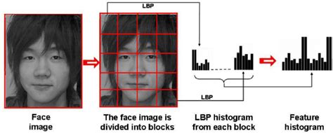 feature extraction diagram for face recognition with local binary