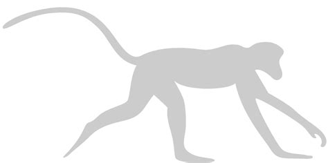 Mono Corriendo 36628903 Vector En Vecteezy