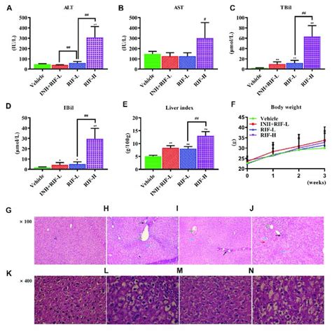 Primer Sequences Used For Quantitative Real Time Pcr Download Scientific Diagram