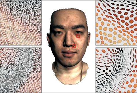 Cgl Ethz Adaptive Surface Splatting For Facial Rendering