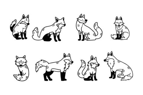 Fox Poses Vector Art Icons And Graphics For Free Download