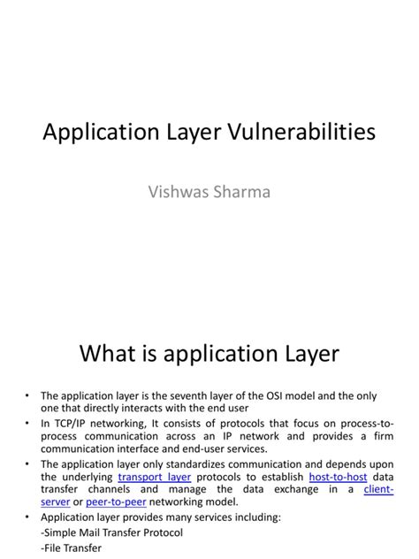 Application Layer Vulnerabilities Pdf Vulnerability Computing