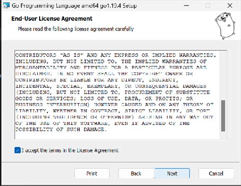 Install Golang In Windows Step By Step With Images Avid Python