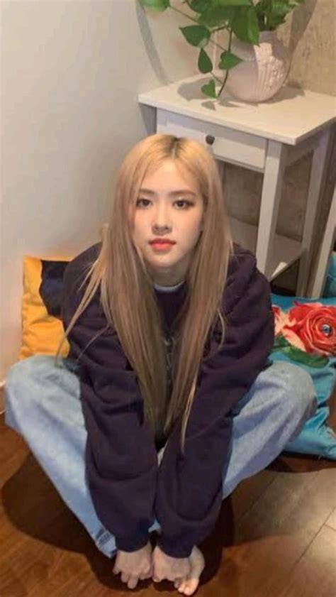 작은 암컷 개 암컷 개