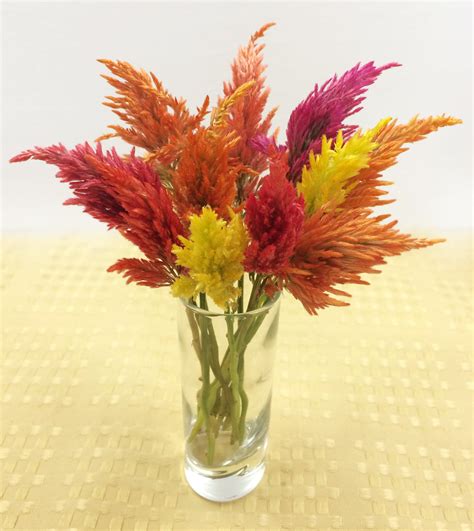 Firestix Mix™ Gourmet Sweet Botanicals