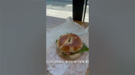 빵투어 코끼리베이글 Youtube