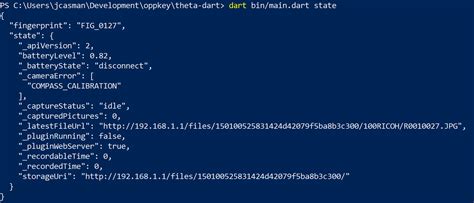 Learning Dart With Ricoh Theta Api Sample Code And Explanations Api